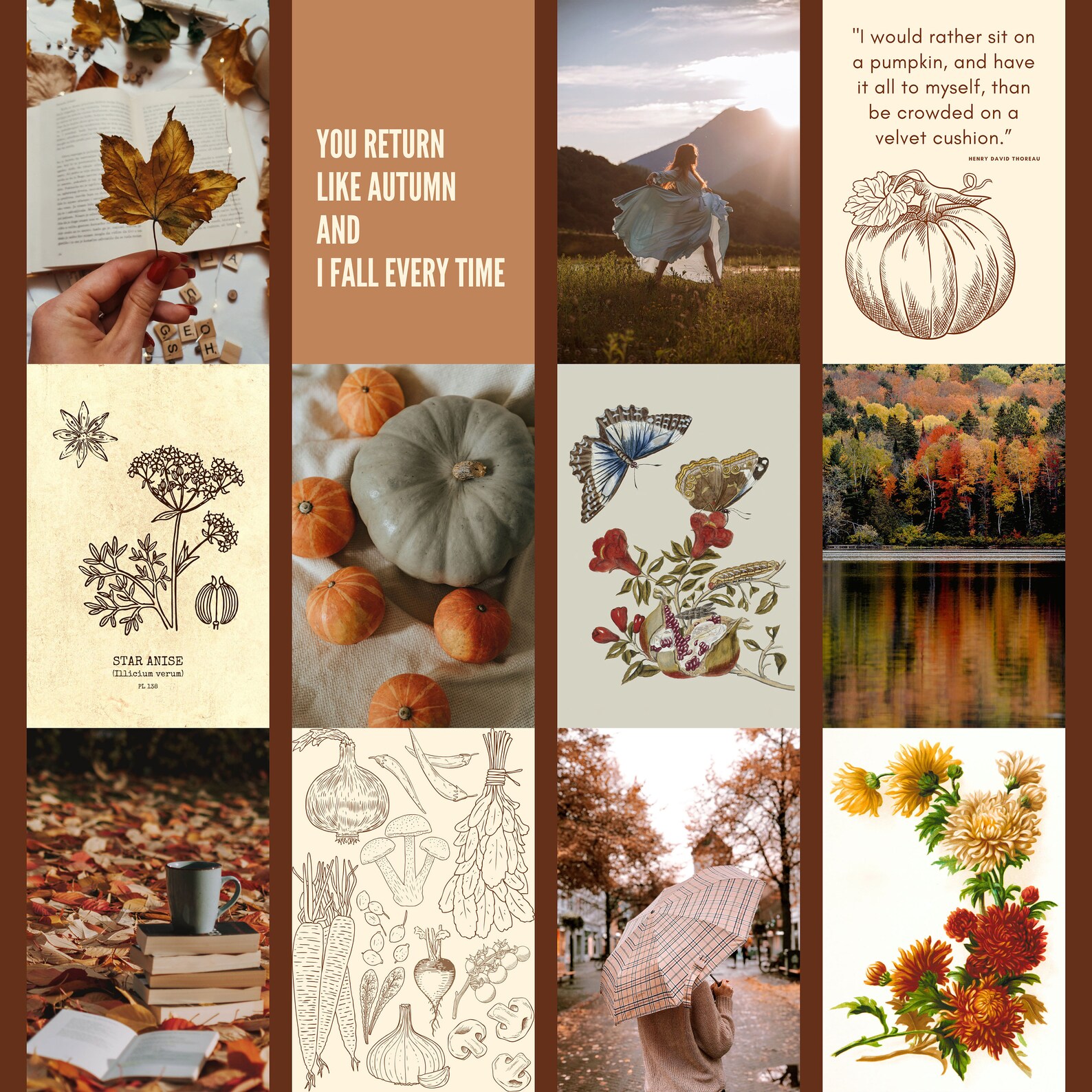 50 Piece Autumn Aesthetic Collage Kit, Fall Season Photo Collage ...