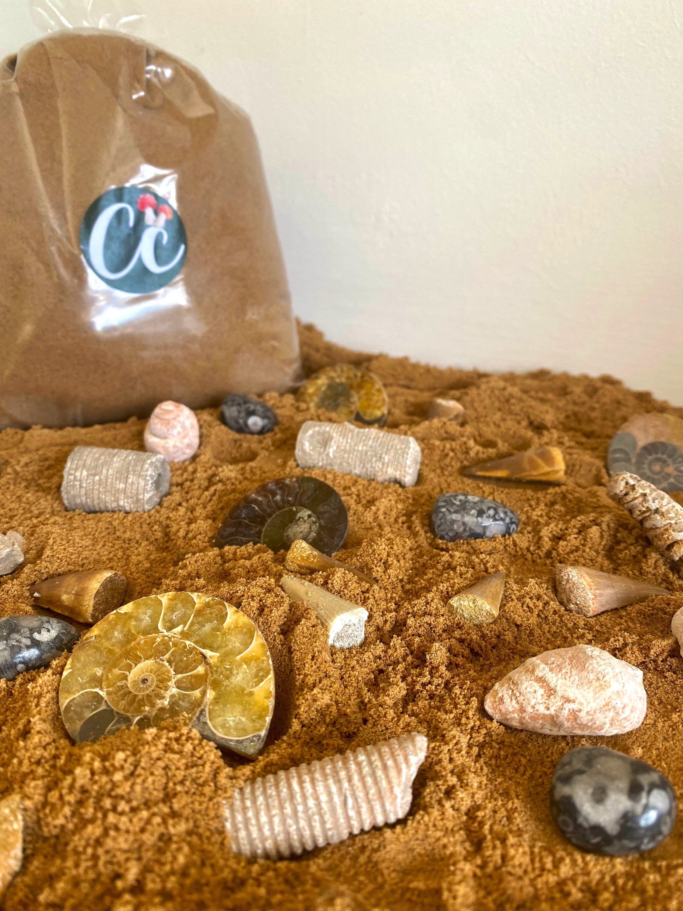 DINO-DIG genuine Fossil mining bags fun kids and adults | Etsy