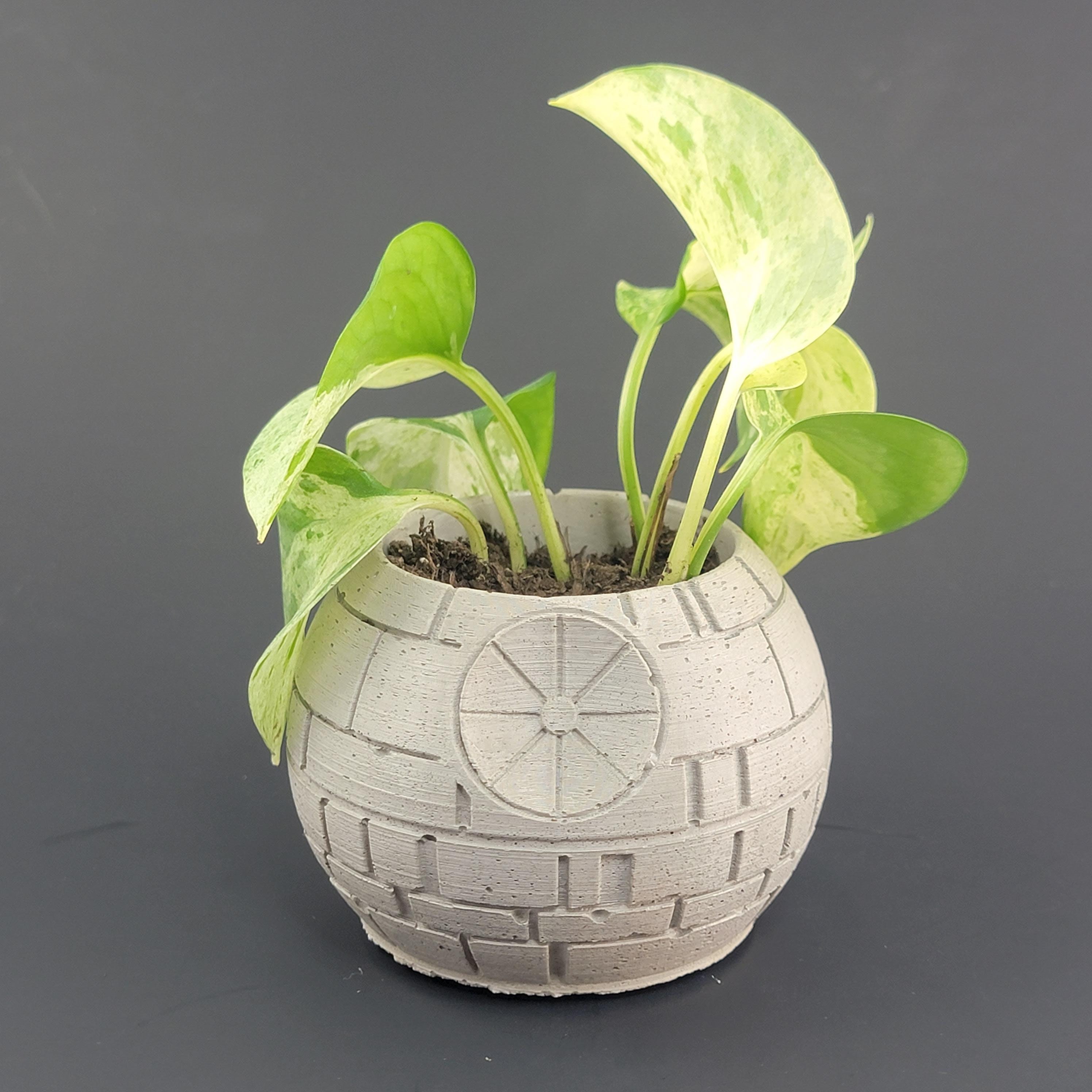 Death Star Concrete Planter | Star Wars Air Succulent Planter | Fan Art ...