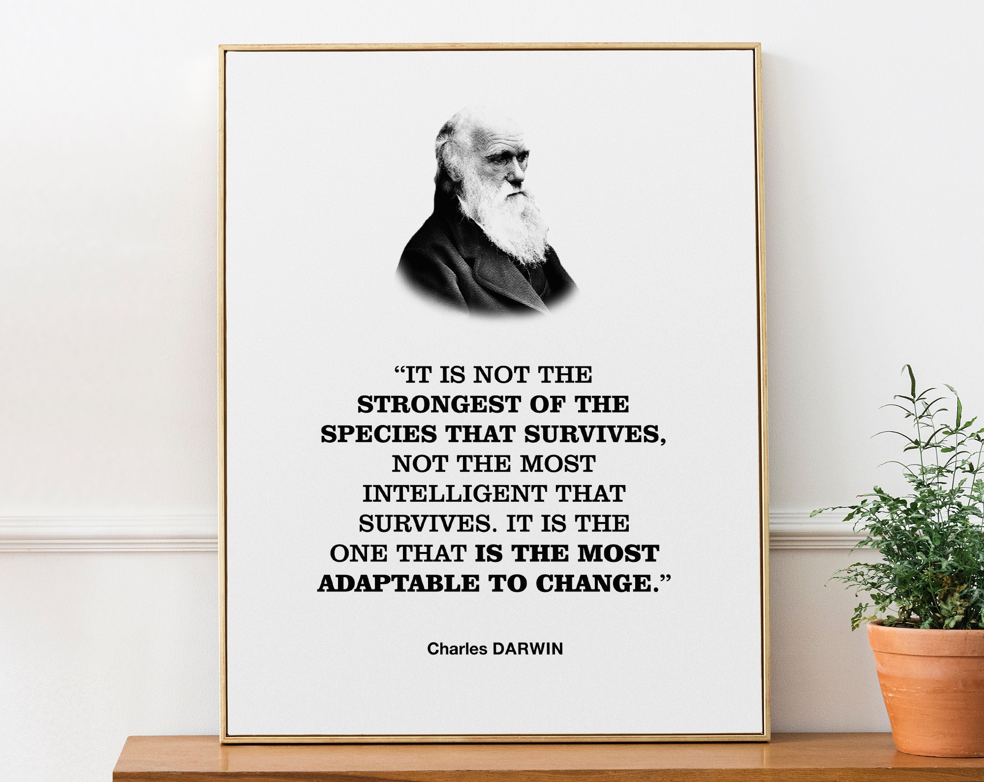 Charles Darwin Motivational Quote Wall Decor Print Poster - Etsy