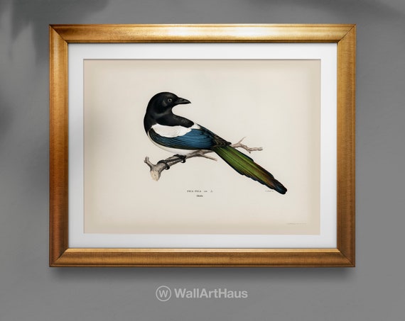 Vintage Magpie Poster for Instant Download Scandi Wall Art | Etsy