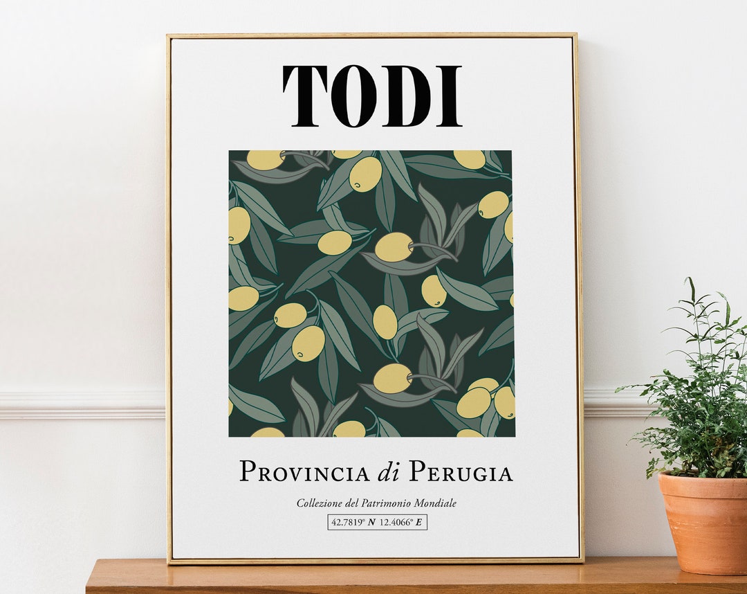 Todi, Village in Umbria, Italy Boho Olive on the Branches of Olive Tree ...