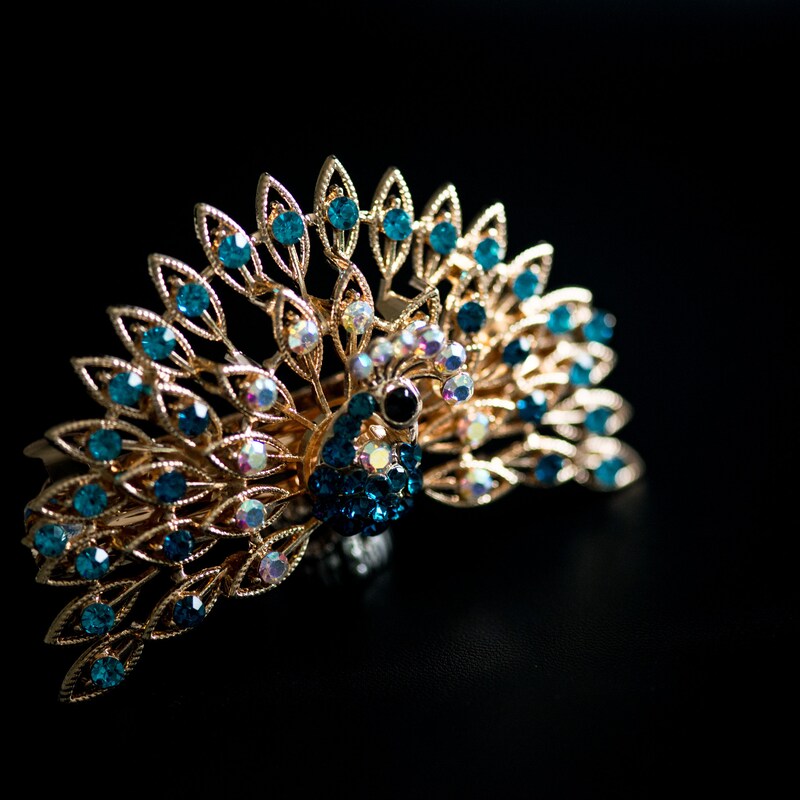 Peacock Hair Clip - Etsy