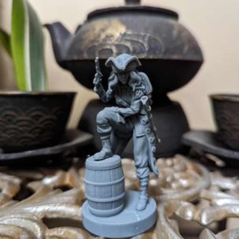 Kate Pirate Pirate Girls STL Miniature for Tabletop Rpgs - Etsy