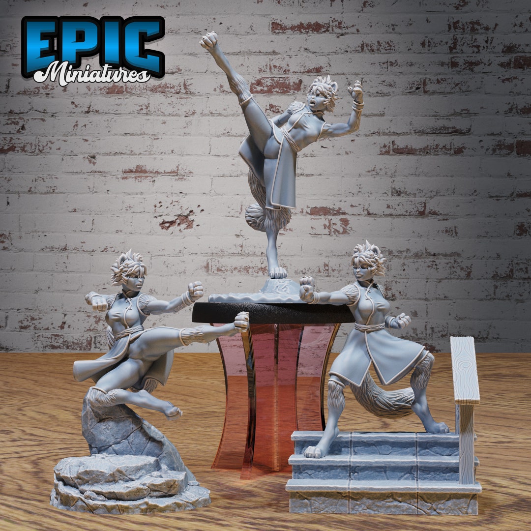 Iron Fist Tournament, Female Tabaxi Monk - Epic Miniatures | Dungeons ...