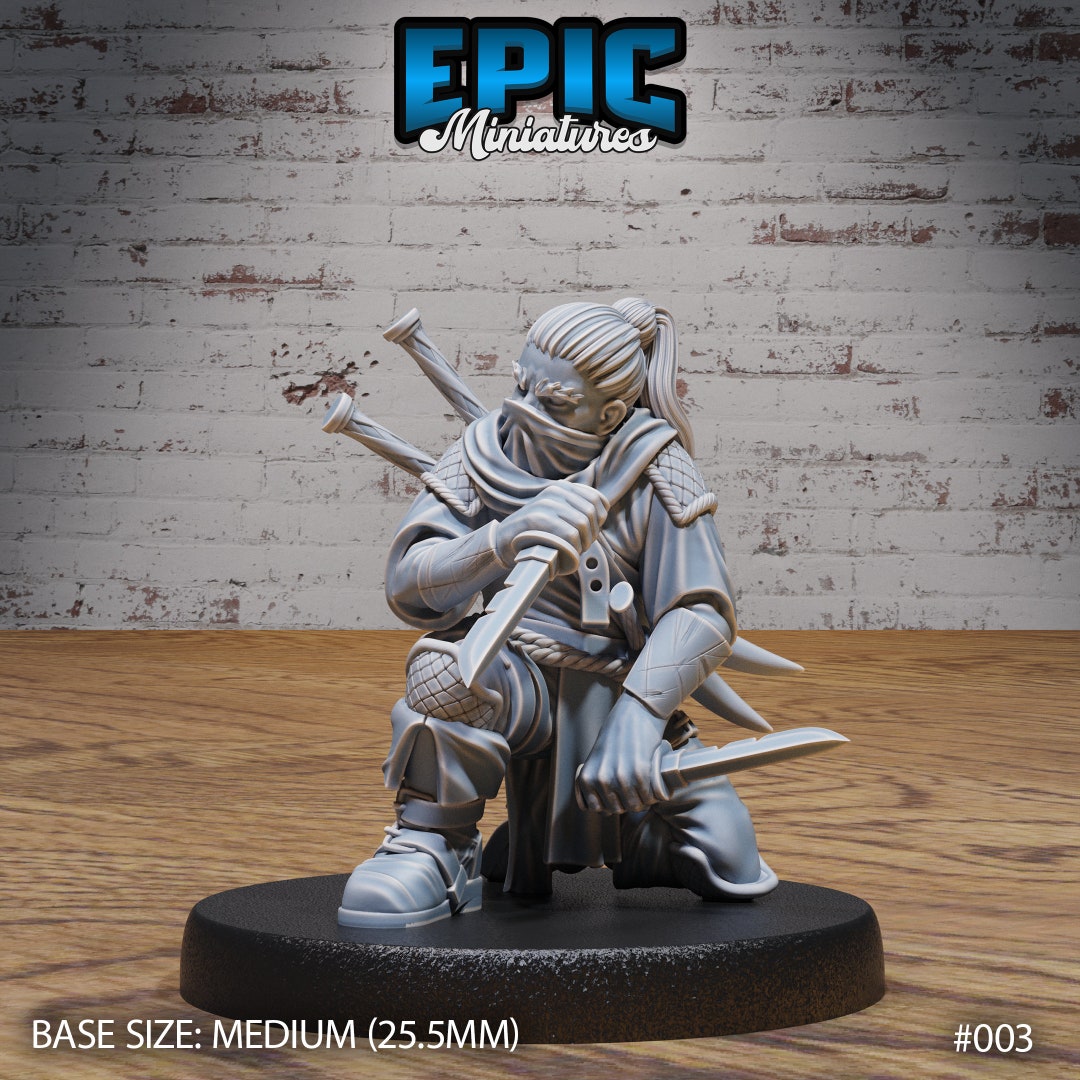 Assassin - Epic Miniatures, PC Fun Pack | Dungeons & Dragons ...