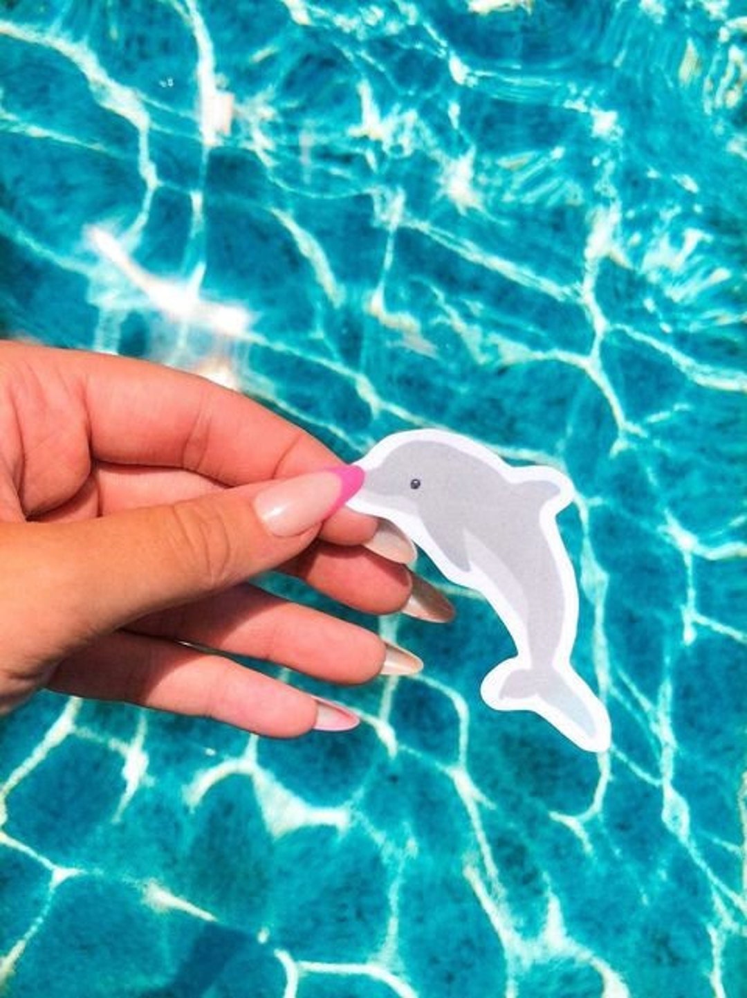 Dolphin Waterproof Sticker - Etsy