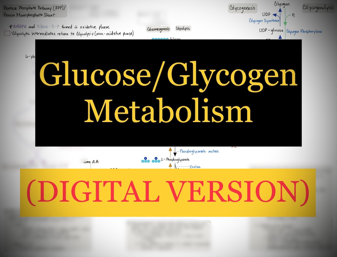 MCAT Glucose/glycogen Metabolism Cheat Sheet - Etsy