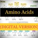 MCAT Amino Acids Cheat Sheet - Etsy
