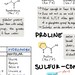 MCAT Amino Acids Cheat Sheet - Etsy