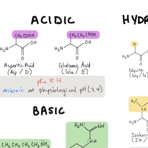 MCAT Amino Acids Cheat Sheet - Etsy UK