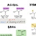 MCAT Amino Acids Cheat Sheet - Etsy