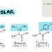 MCAT Amino Acids Cheat Sheet - Etsy
