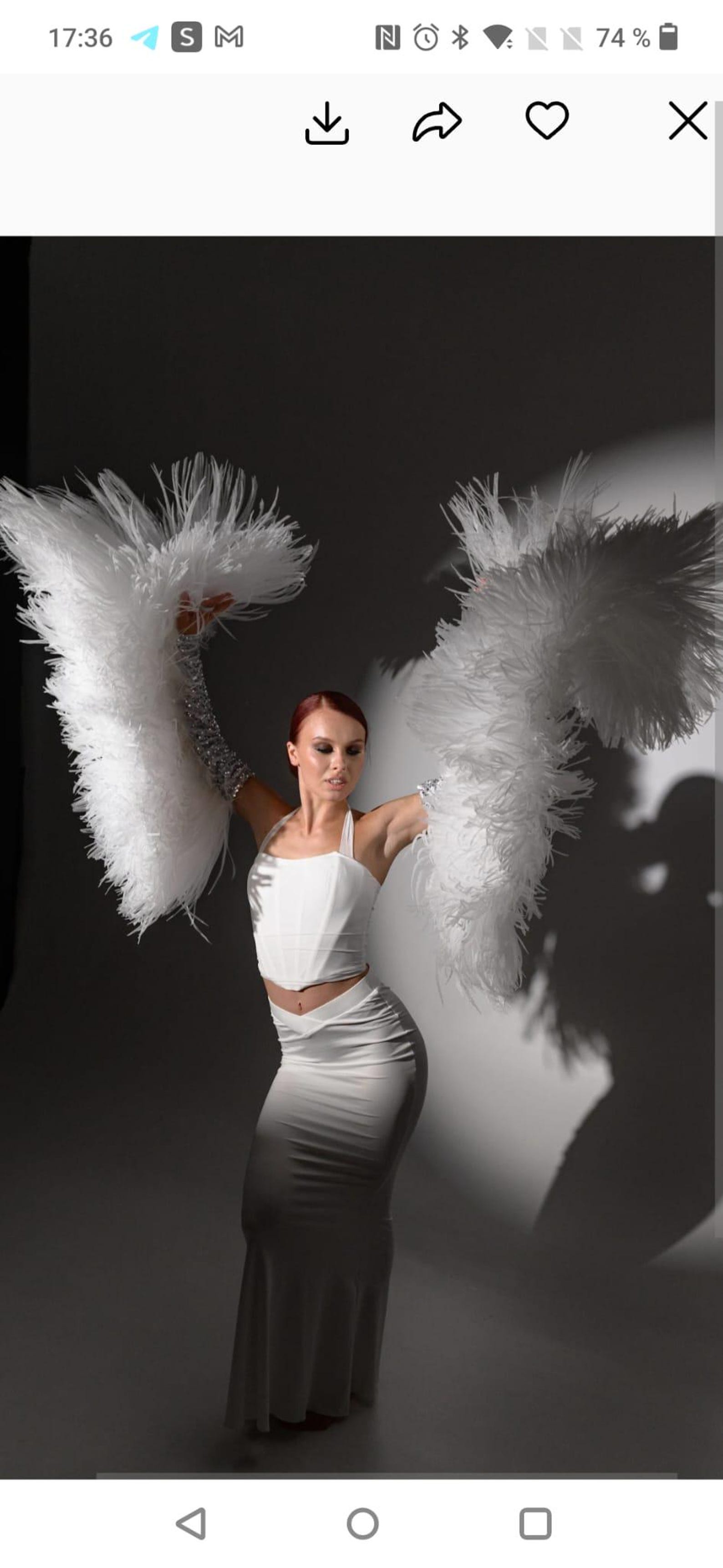 Angel Wings Giant Wings Wings-sleeves Large Wings Fluffi Wings White ...