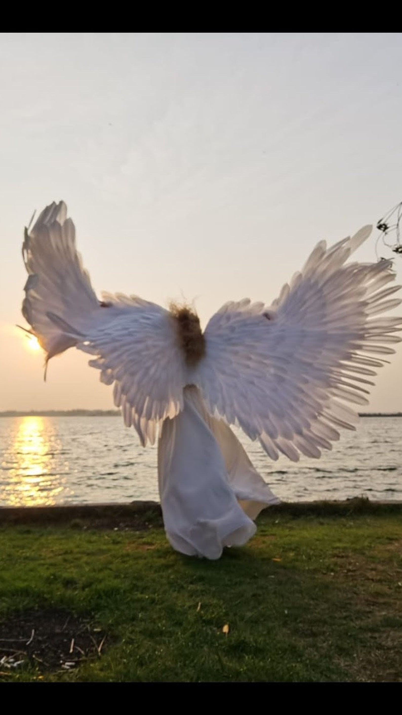 Giant Angel Wings Large Wings White Wings Christmas Wings - Etsy