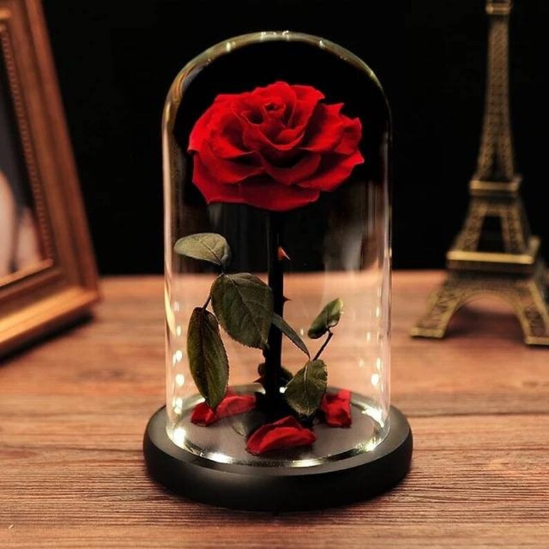 Infinity Rose in Glass Dome Red - Etsy