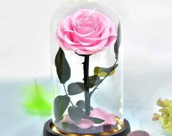 Infinity Rose in Glass Dome Red - Etsy