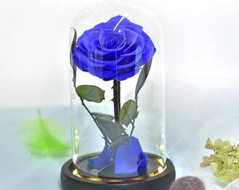 Infinity Rose in Glass Dome Red - Etsy