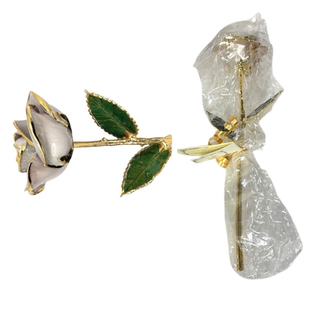 Genuine Pearl Colored Rose in Lacquer Dipped in 24K Gold. - Etsy