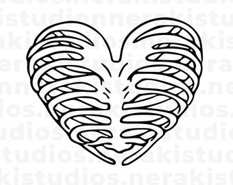 Skeleton Rib Cage | Etsy