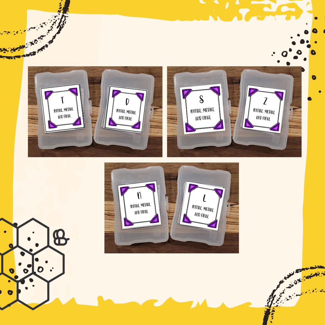 Multi-level Articulation Cards Alveolar Bundle s, Z, T, D, N and L - Etsy