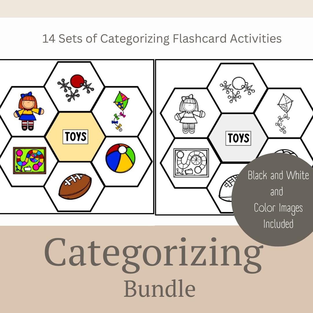 Categorizing, Speech Therapy, Body Parts, Farm, Zoo, Ocean Animals ...