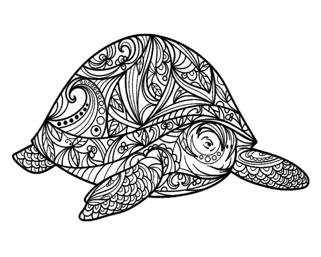 24 Sea Life Coloring Pages - Etsy