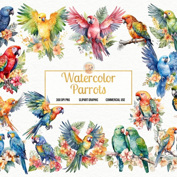 Watercolor Parrot - Etsy