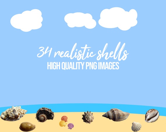 34 Seashell High Quality Overlays Beach Water Overlays PNG - Etsy Canada