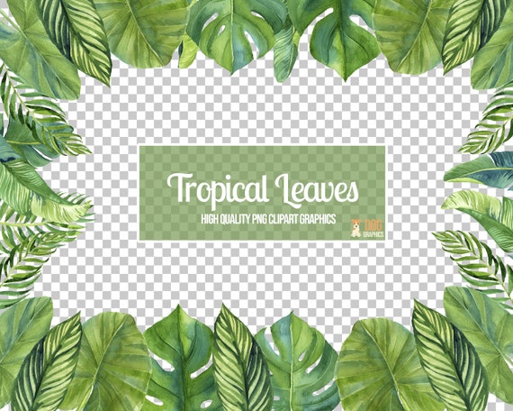 Watercolor Leaves PNG Clip Art Instant Download Digital - Etsy