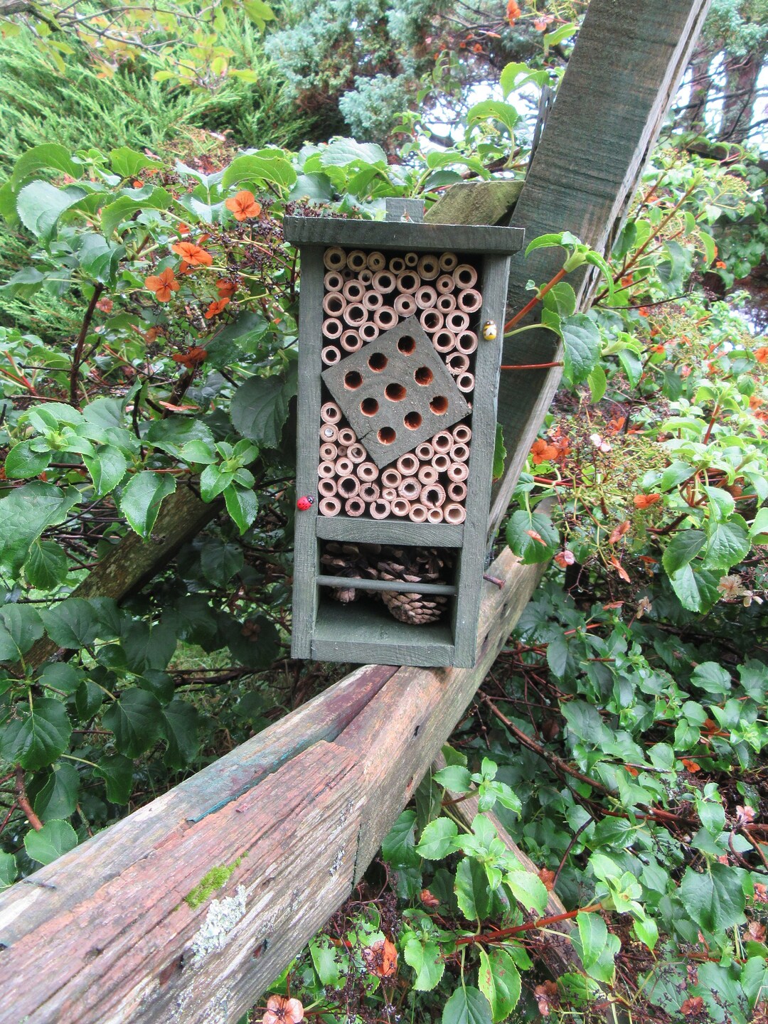 Hand Built Wooden Bug Hotel Birthday Gift Eco Gardeners Gift Gift for ...