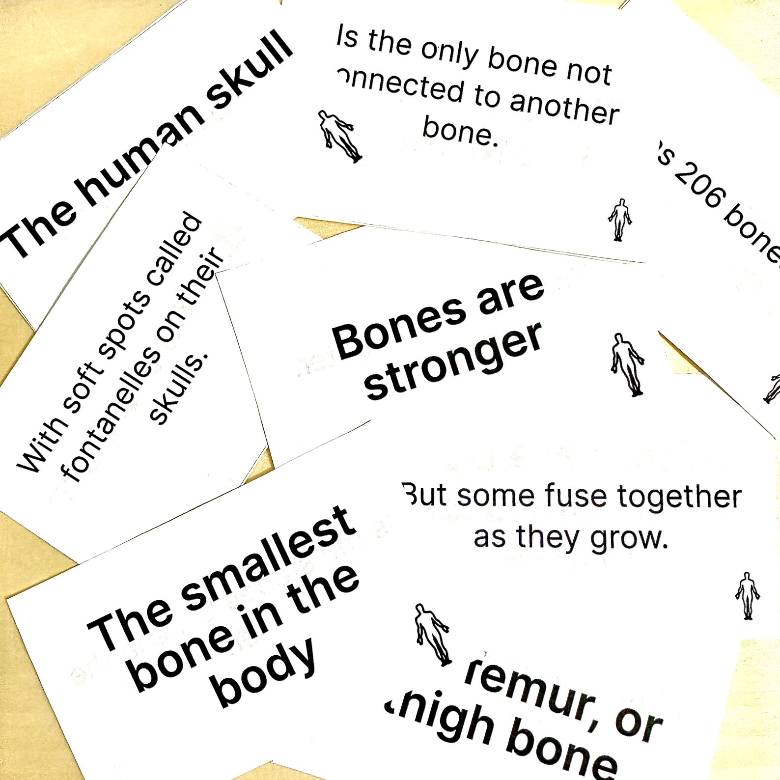 96 Human Anatomy Fun Facts Educational Flashcards. Downloadable ...