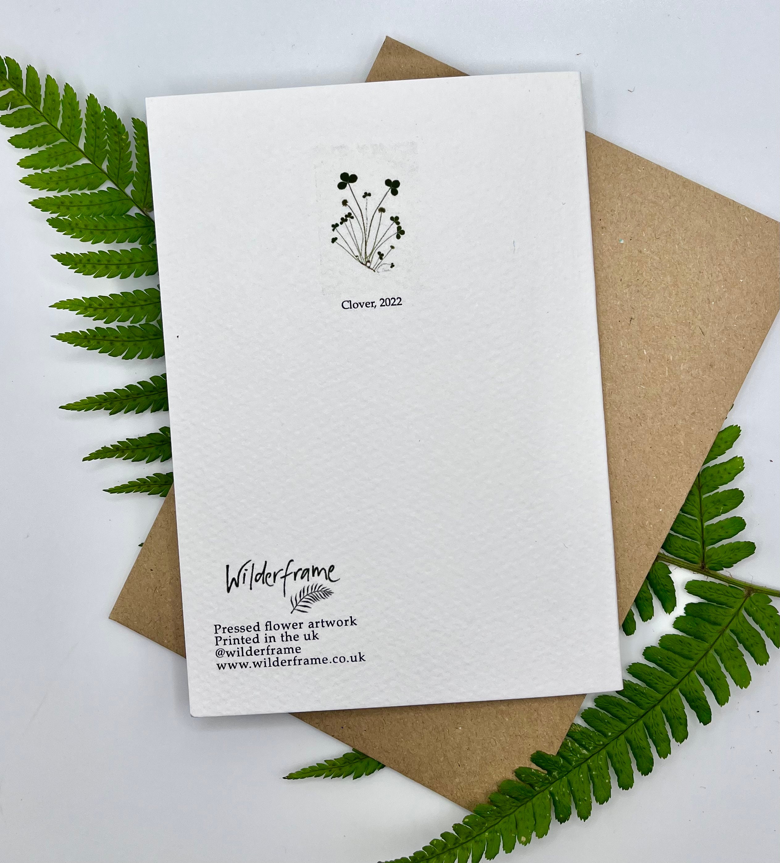 Set of 6 Wildflower Greeting Cards - Etsy UK