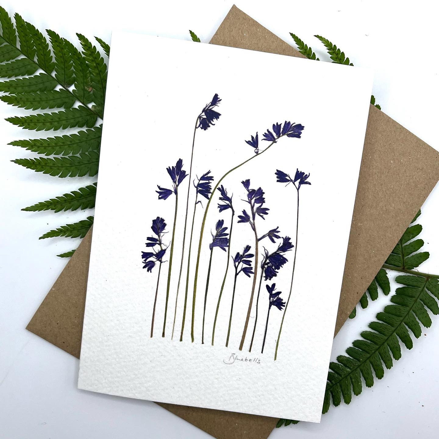 Set of 6 Wildflower Greeting Cards - Etsy UK