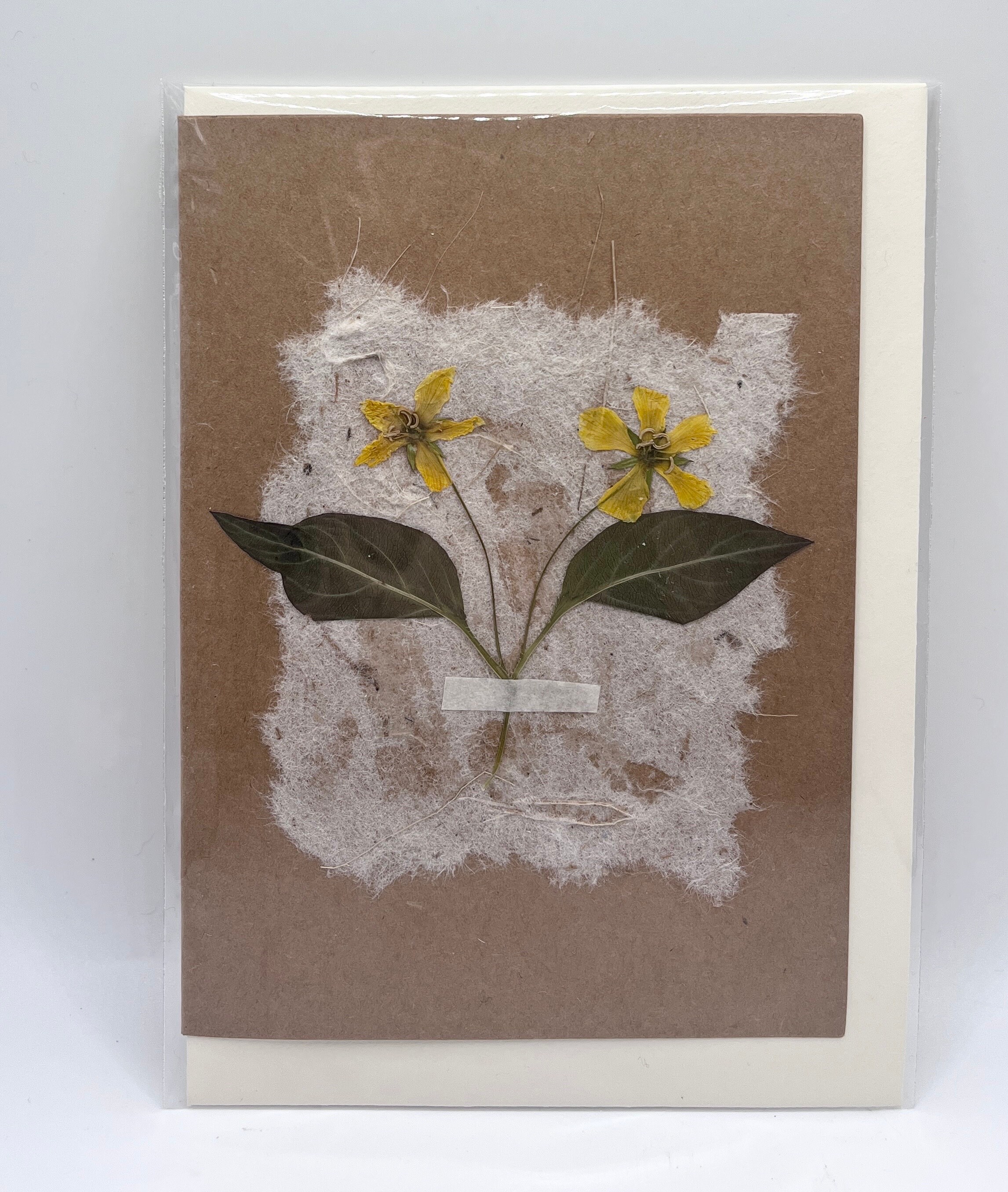 Real Pressed Flower Card A6 - Etsy UK
