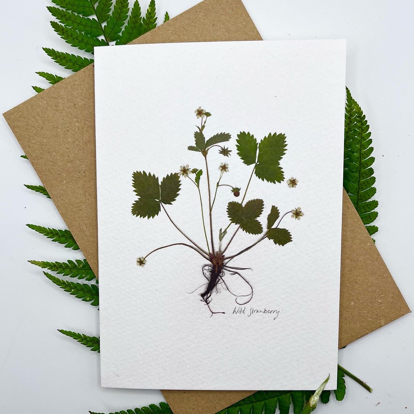 Set of 6 Wildflower Greeting Cards - Etsy UK