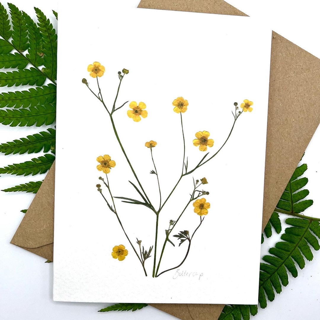 Set of 6 Wildflower Greeting Cards - Etsy UK