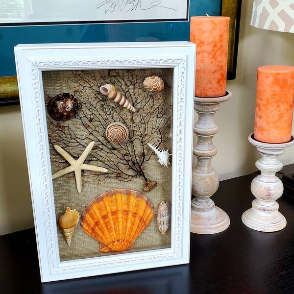 Seashell Shadow Box - Etsy