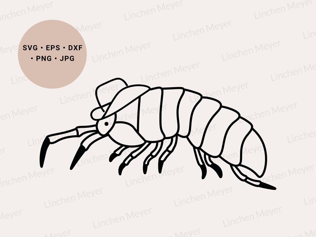 Isopod Svg, Cowboy Hat Svg, Isopods Svg, Bug Svg, Insect Svg, Cowboy ...