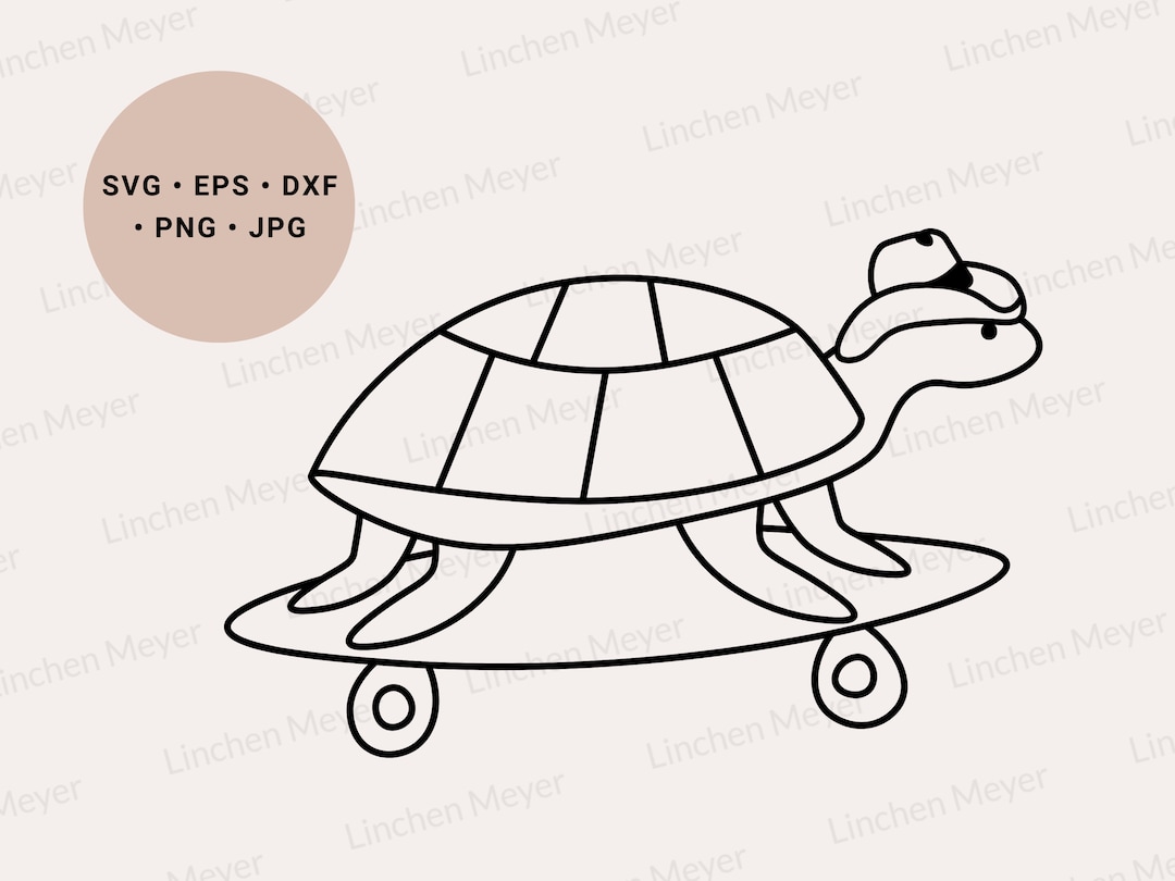 Turtle Svg, Cowboy Hat Svg, Cowboy Turtle Svg, Skateboard Svg, Funny ...