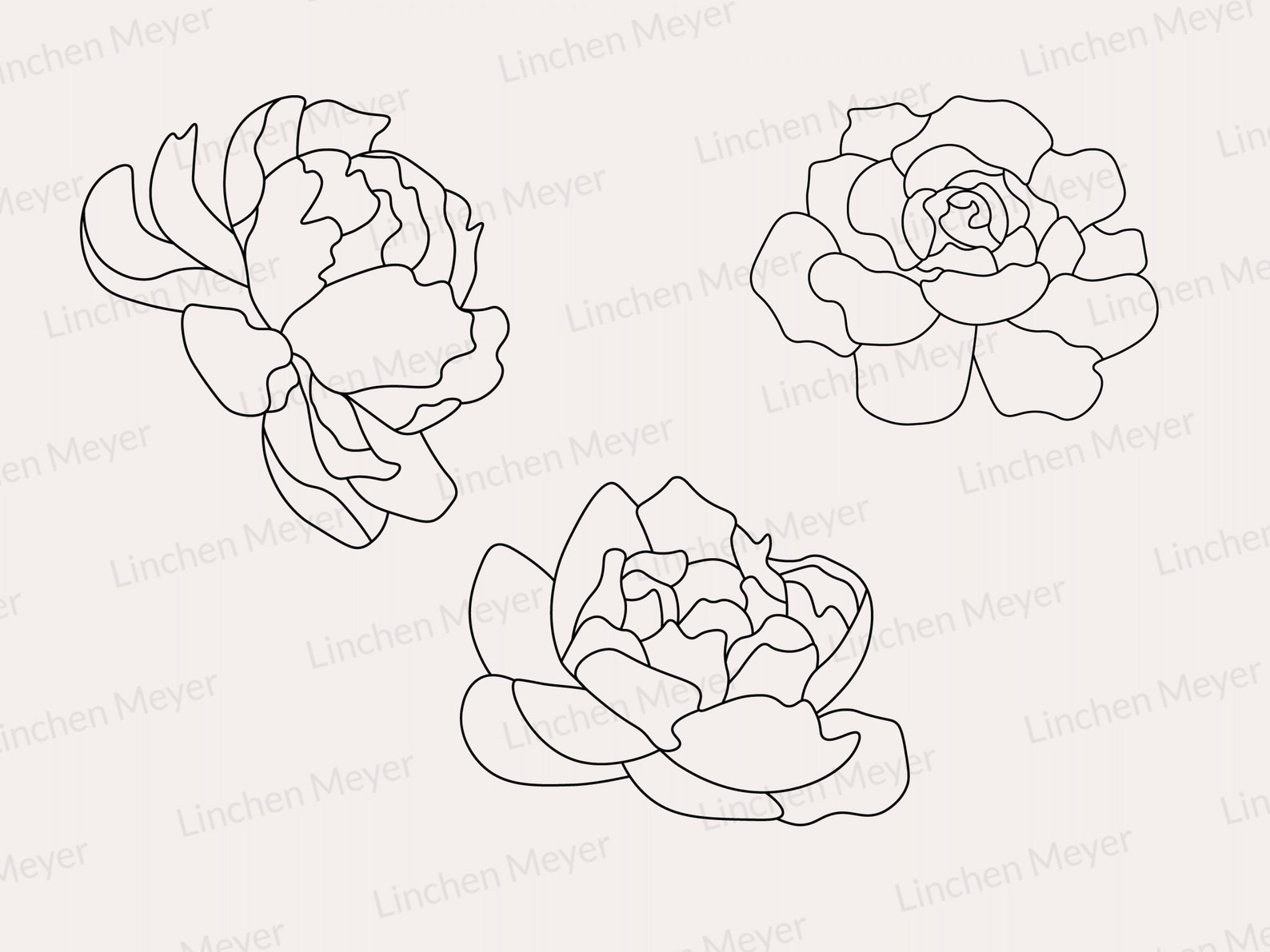 Peony Svg Peony Vector Peonies Svg Libbey Glass Svg - Etsy