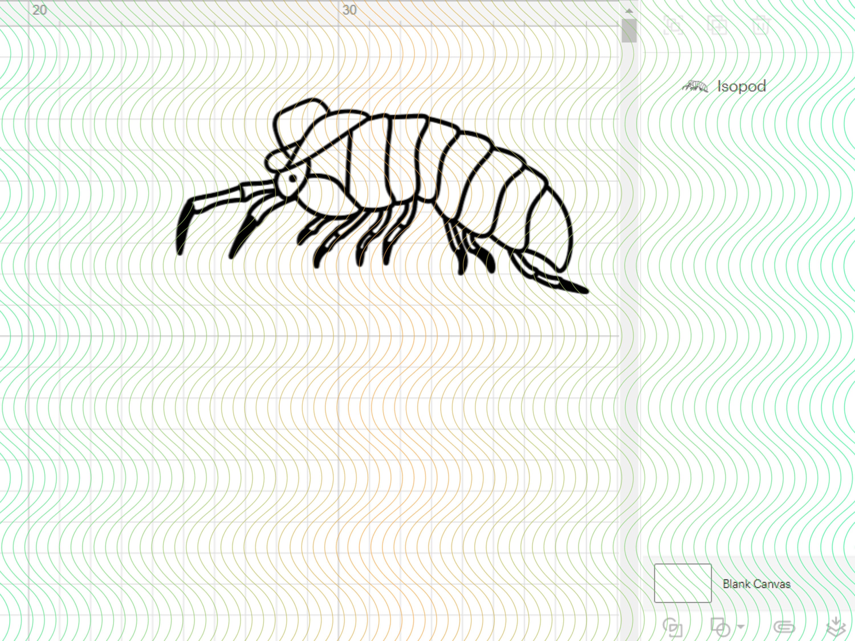 Isopod Svg Cowboy Hat Svg Isopods Svg Bug Svg Insect Svg - Etsy Canada