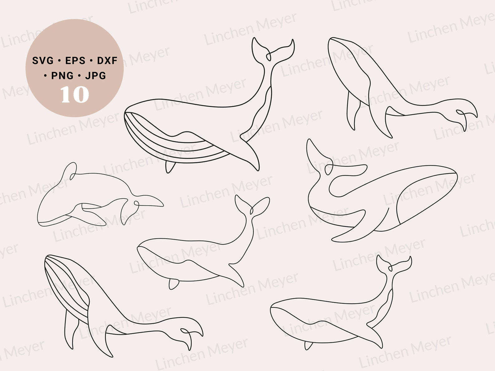 Under the Sea Svg Whale Svg Whale Nursery Svg Sea World - Etsy