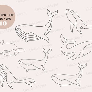 Under the Sea Svg, Whale Svg, Whale Nursery Svg, Sea World Svg, Line ...
