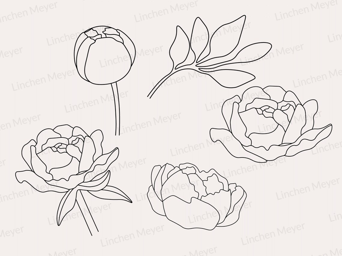 Peony Svg Peony Vector Peonies Svg Libbey Glass Svg - Etsy