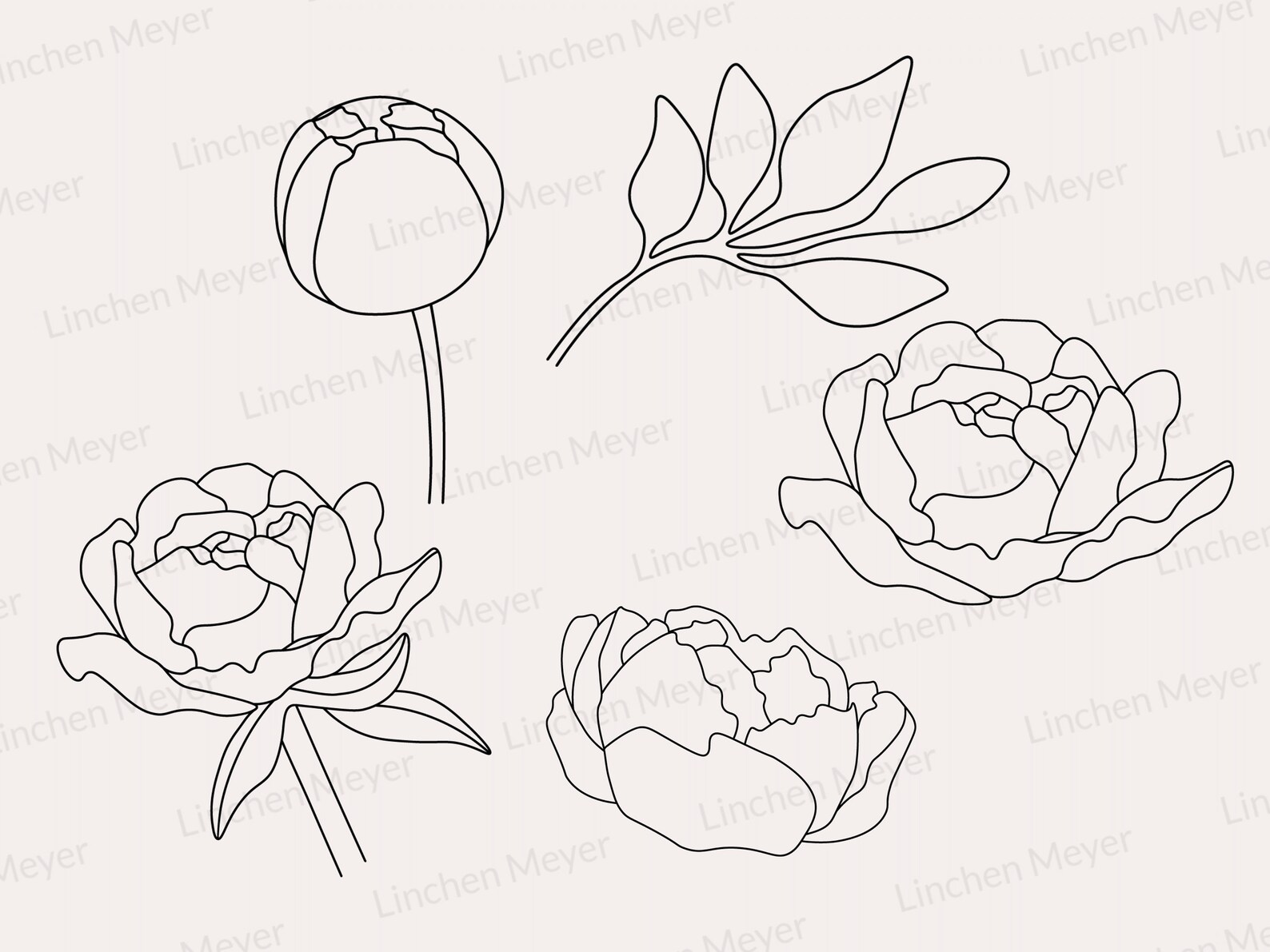 Peony Svg, Peony Vector, Peonies Svg, Libbey Glass Svg, Wildflower Svg ...