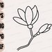 Magnolia Flower Svg Birth Month Flower Svg Spring Svg - Etsy