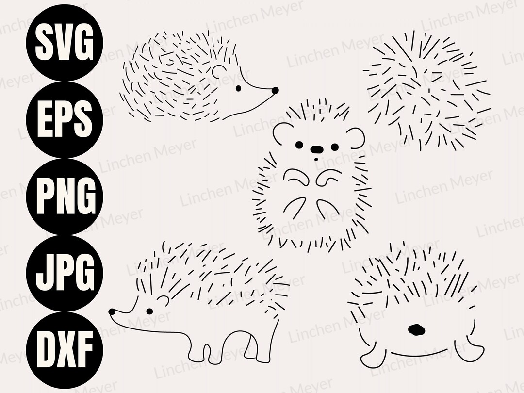 Cute Hedgehog Svg, Autumn Hedgehog Svg, Hedgehog Svg, Hedgehogs Clipart ...