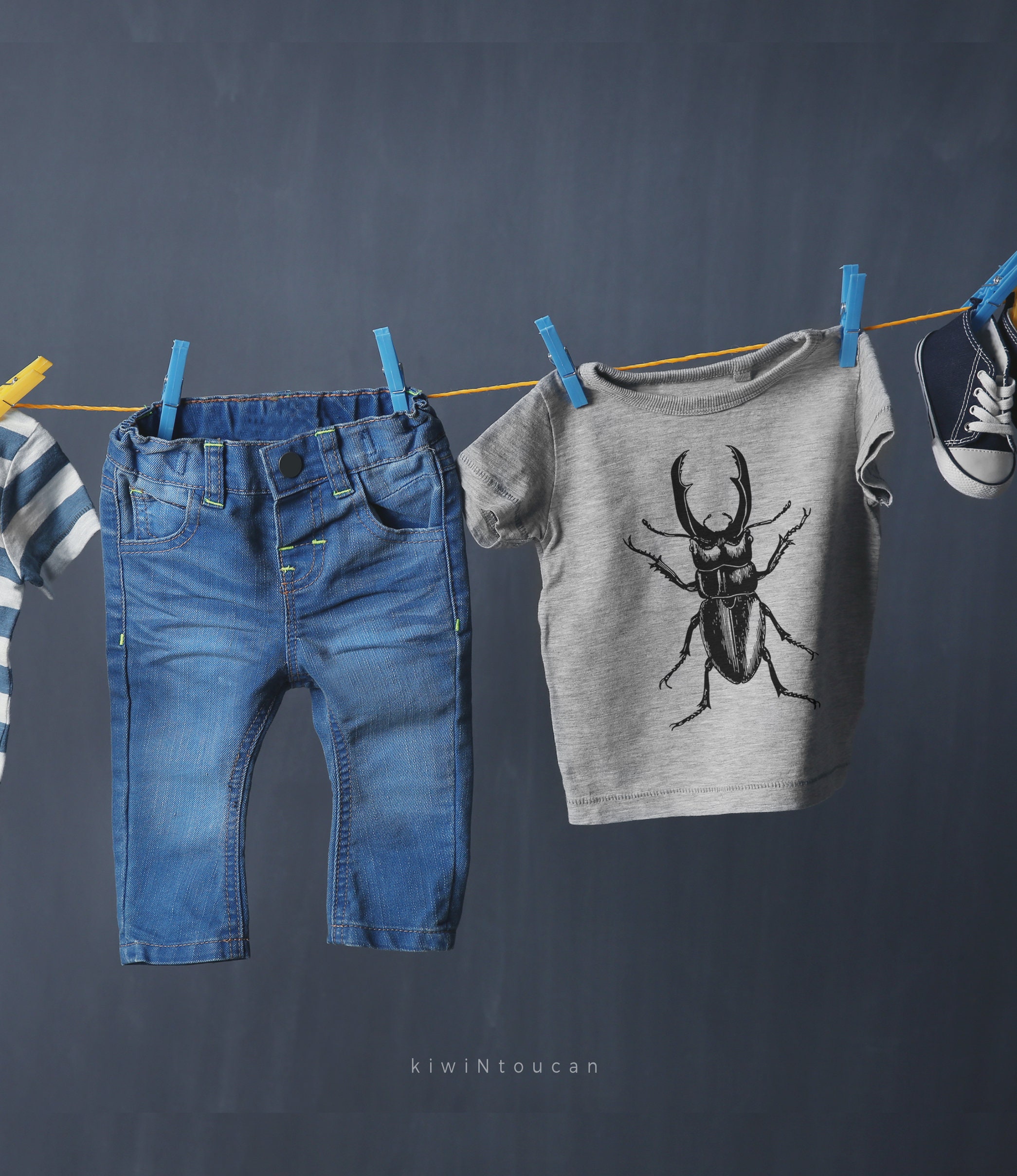 Creepy Crawlers Clipart Bugs Insects Clip Art Vintage Sketch - Etsy