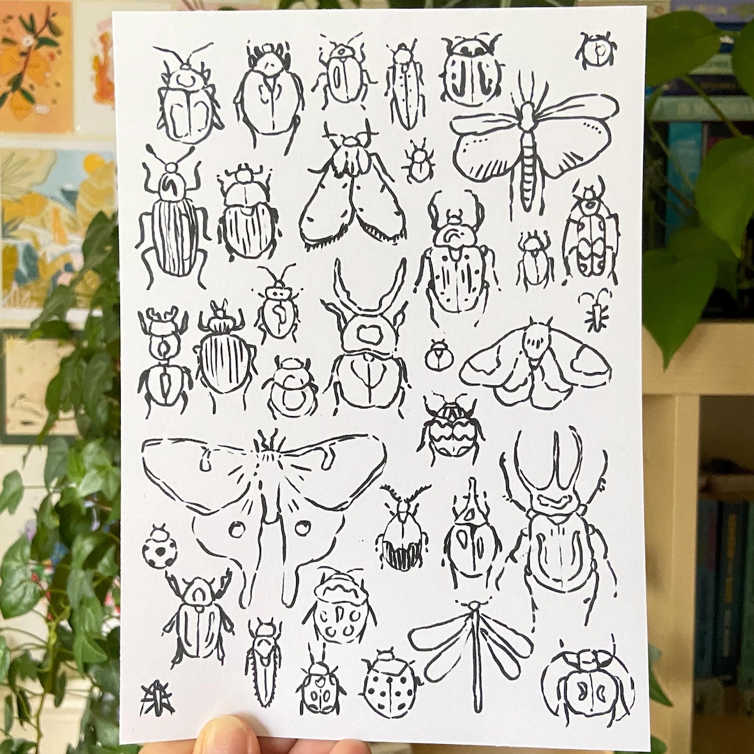 Bugs Print | Beetles Print | Insect Art | Butterfly Print - Etsy